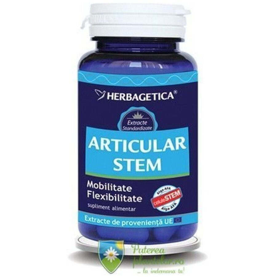 Articular Stem 30 capsule – Puterea Plantelor